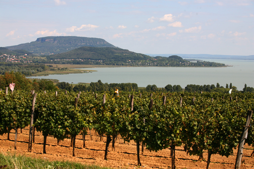 Mit dem E-Bike unterwegs... am Balaton – sz-Reisen - Reisen Sie mit uns ...